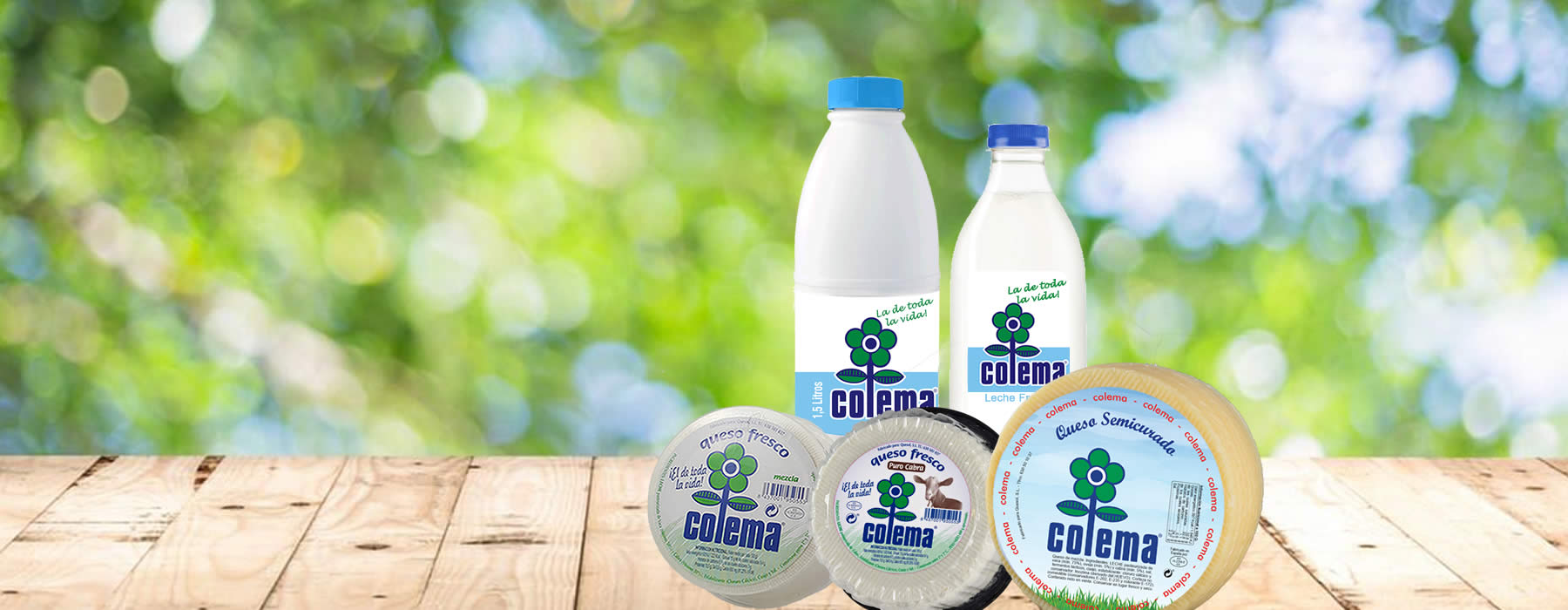 Lácteos COLEMA – Queso y Leche COLEMA