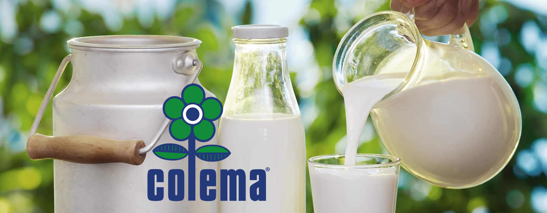 Lácteos COLEMA – Queso y Leche COLEMA